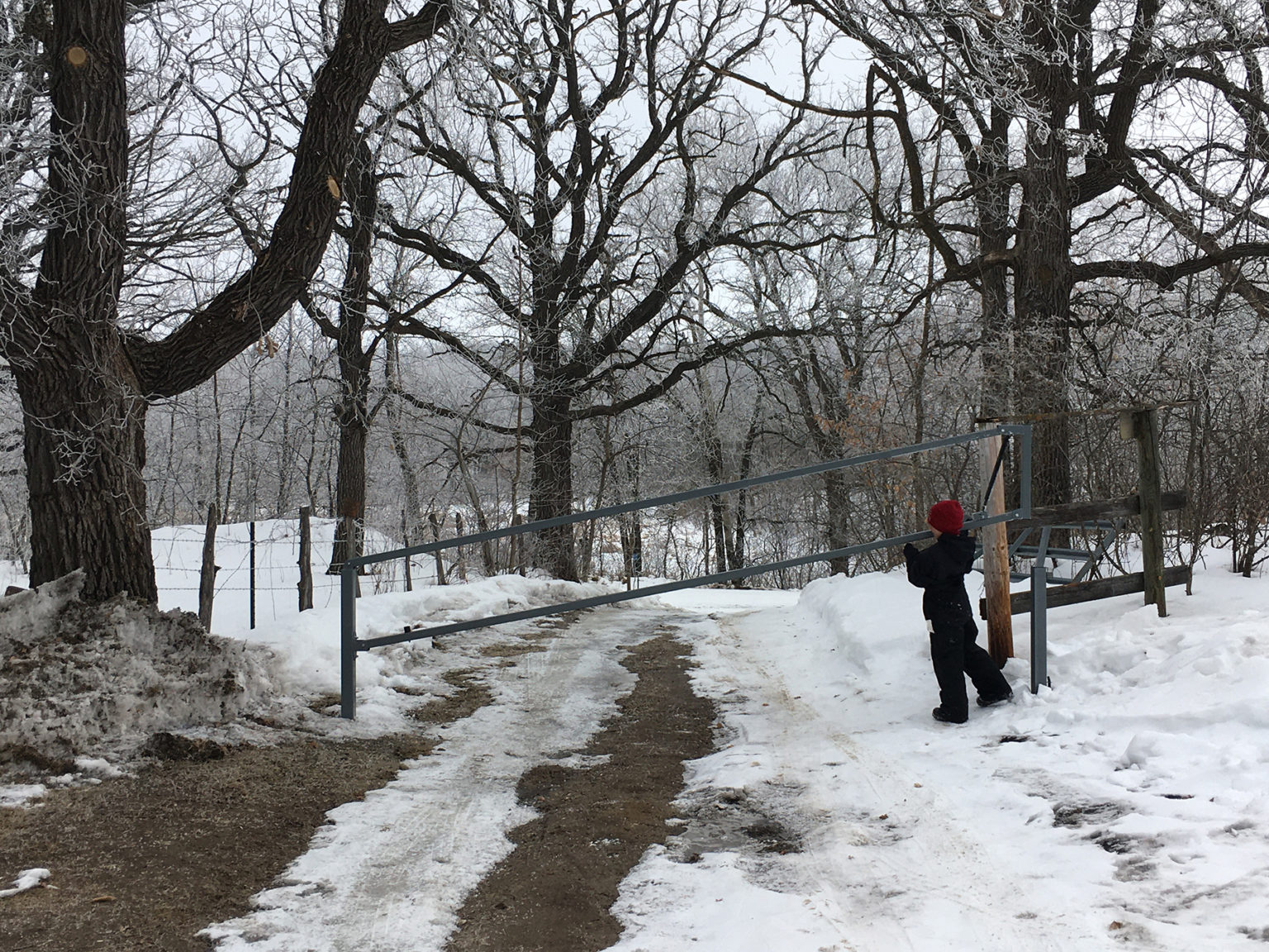 EdgeSafe® Smart Gate | PS Safety Access™